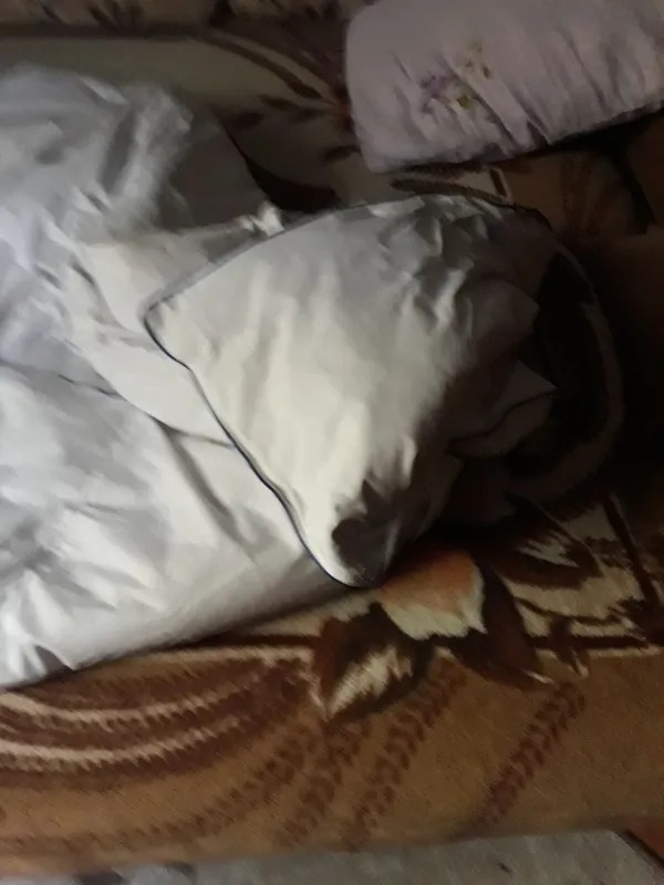 Одеяло mayura MedSleep тик
